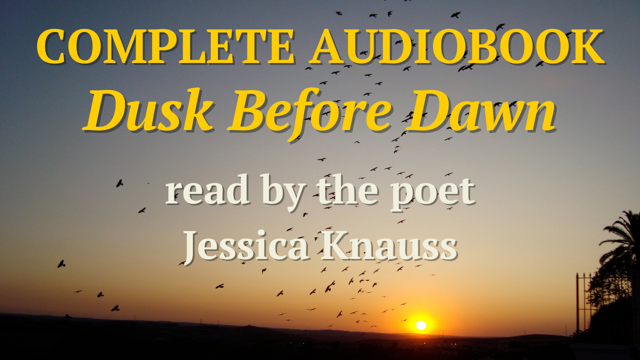 Dusk Before Dawn: Poems – Jessica Knauss
